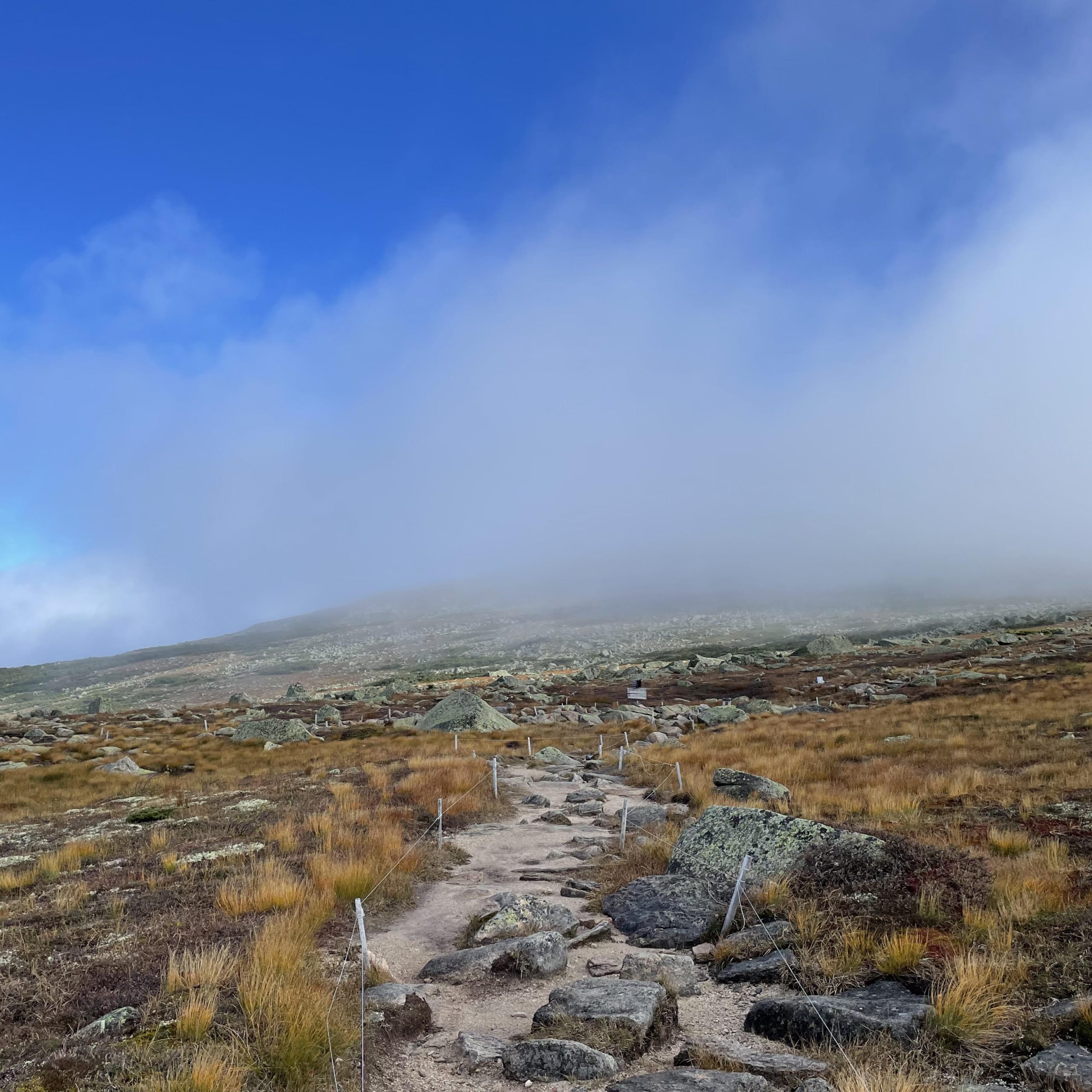 tablelands1 square – Baxter State Park